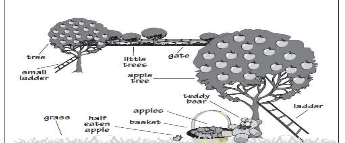 Labelled picture in picture word inductive model by using