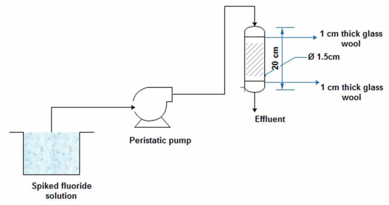| schematic diagram of the fixed-bed column. where ge, co,