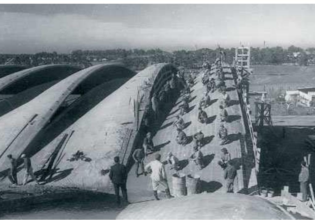 (PDF) Form, Force and Structure: A Brief History