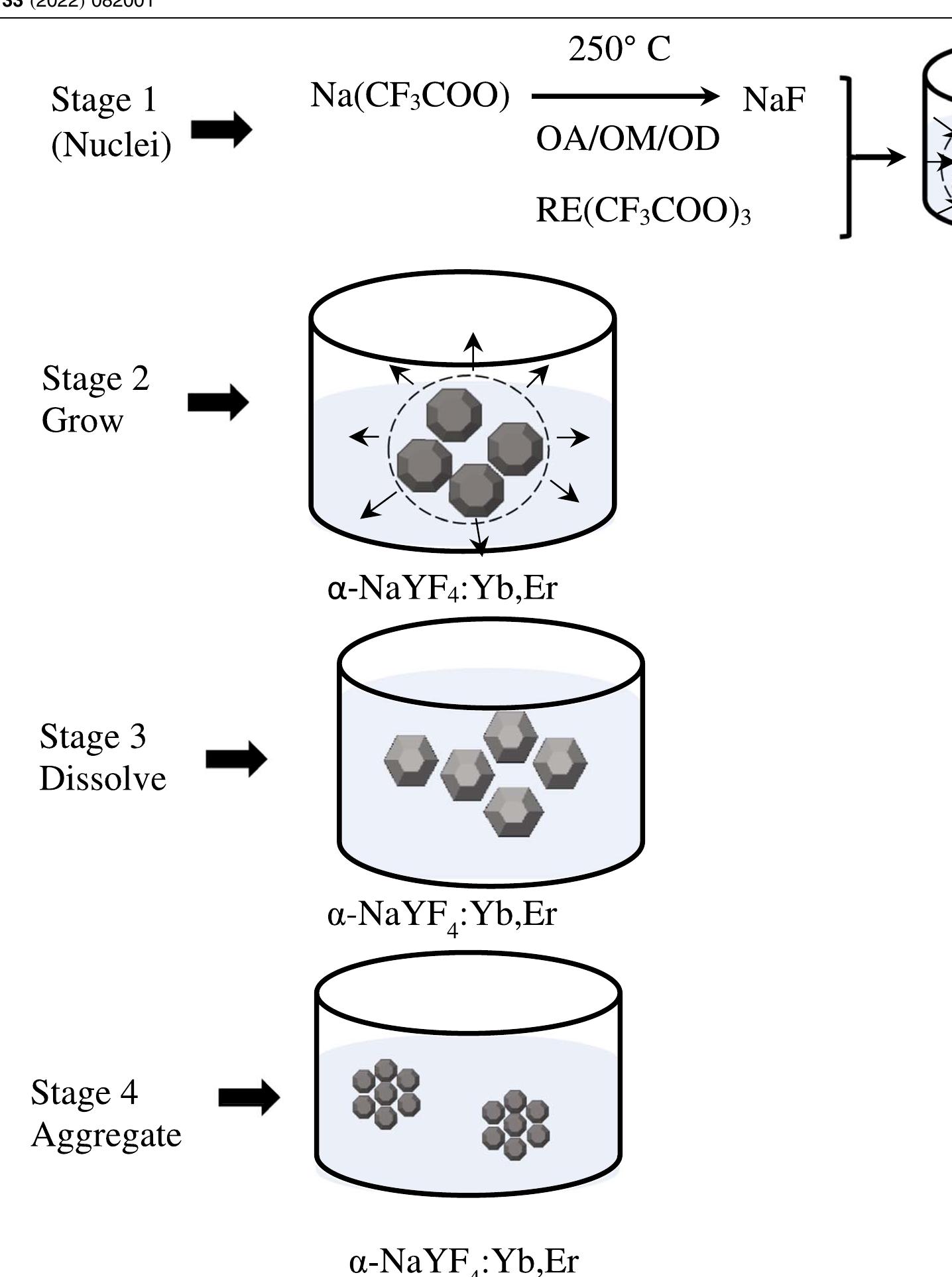 Schematic illustration of the nucleation stages. stage 1: