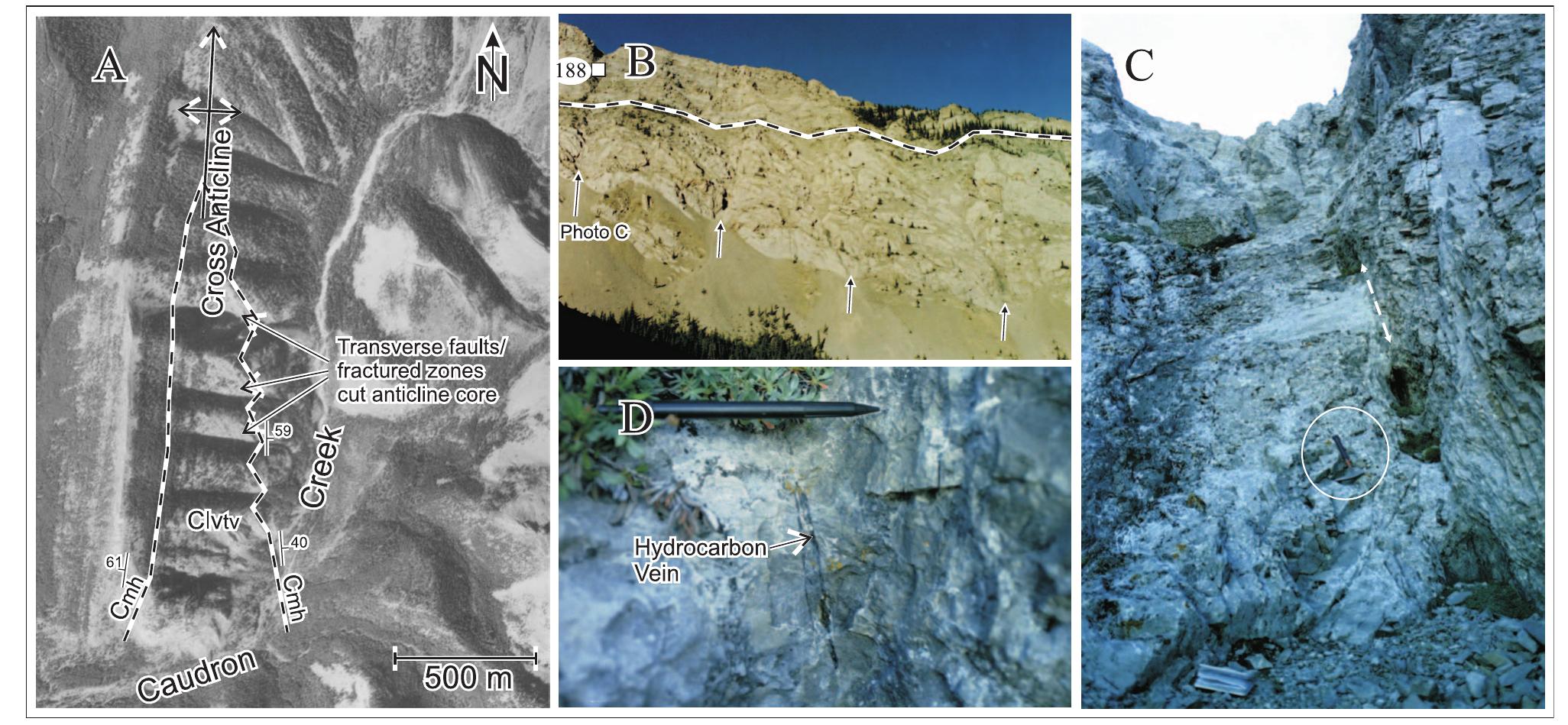 Transverse zones of intense fracturing and minor faulting in