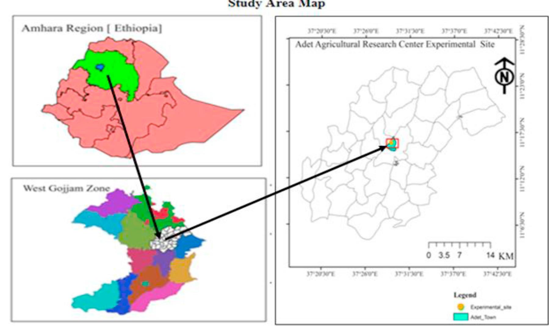 Map of the study map.