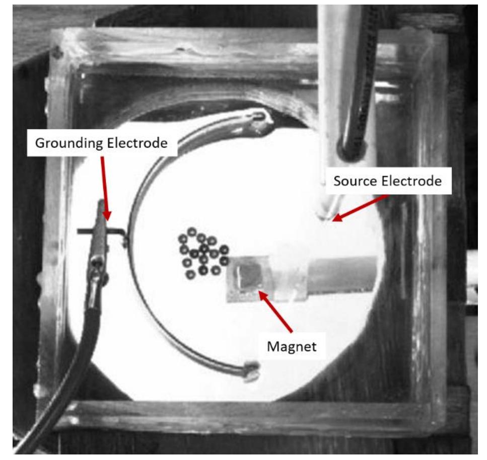 The e-sofi setup for morphological variants. a magnet is
