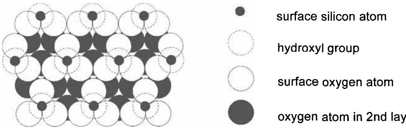 The (111) surface of the sio, polymorph b-cristobalite. this