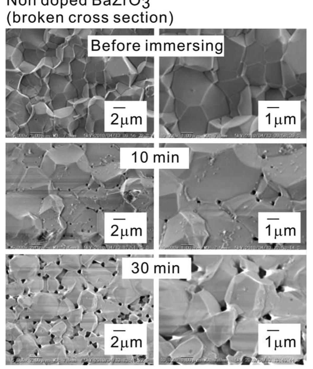 Sem image of cross-section of broken bazro; pellet before