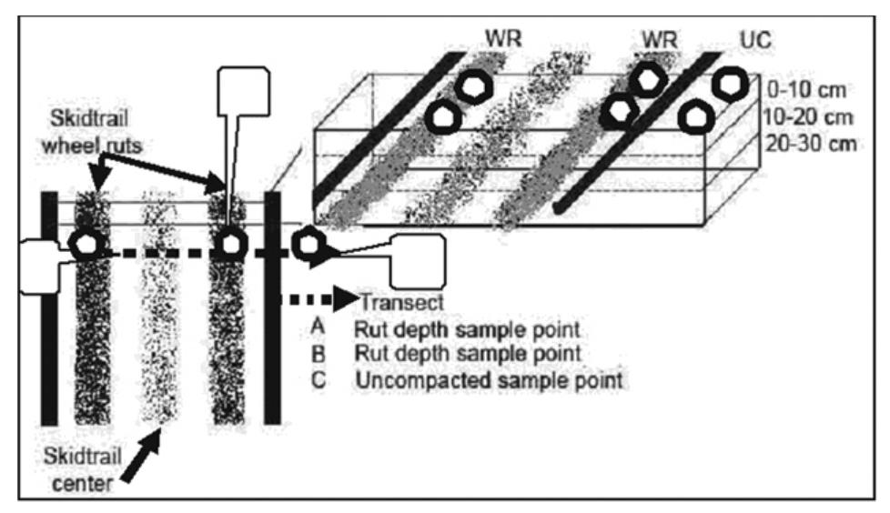 Figure 1 - Effects of wheeled cable skidder on rut formation