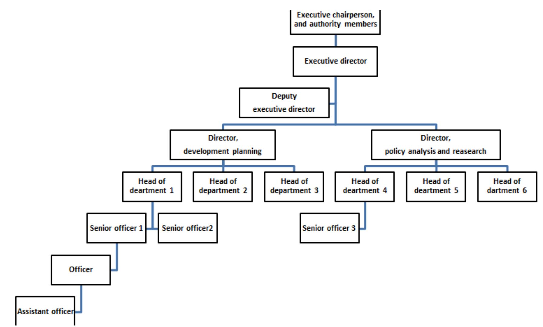 The bureaucratic organizational structure at npa (source: