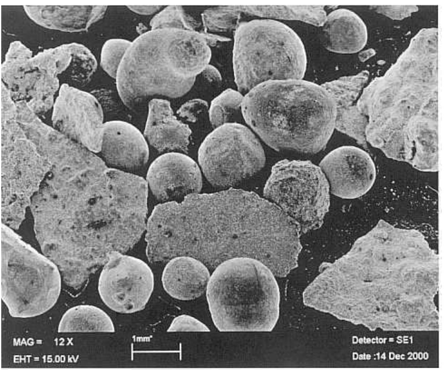 Scanning electron microscope (sem) image of flake