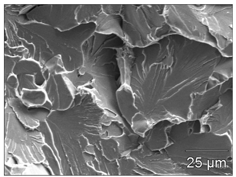 Classical Brittle Cleavage Fracture Features For A Steel