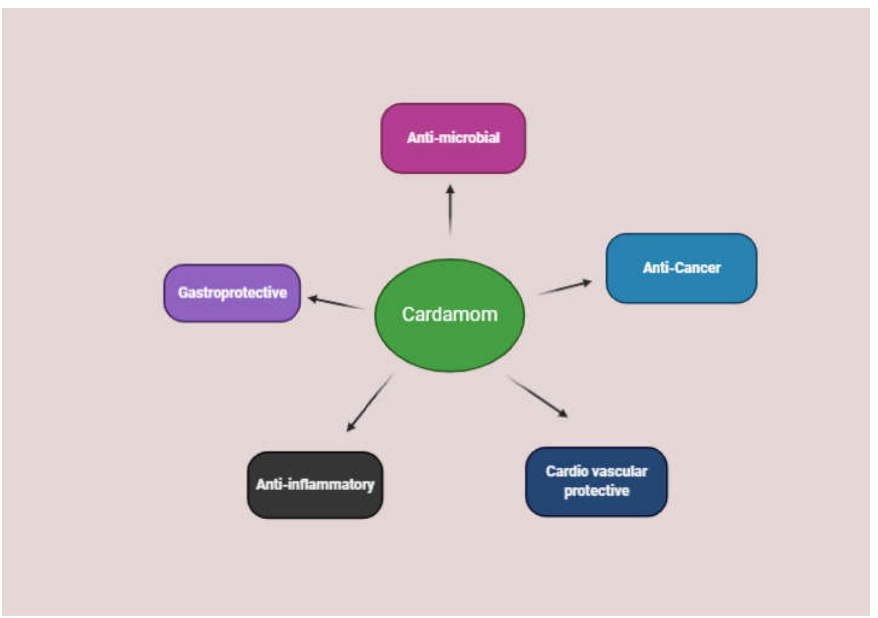 Shows multiple benefits of cardamom that can be beneficial
