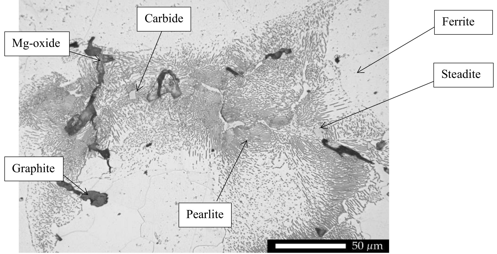 Example of a contaminated cell boundary. fig. 6 shows an