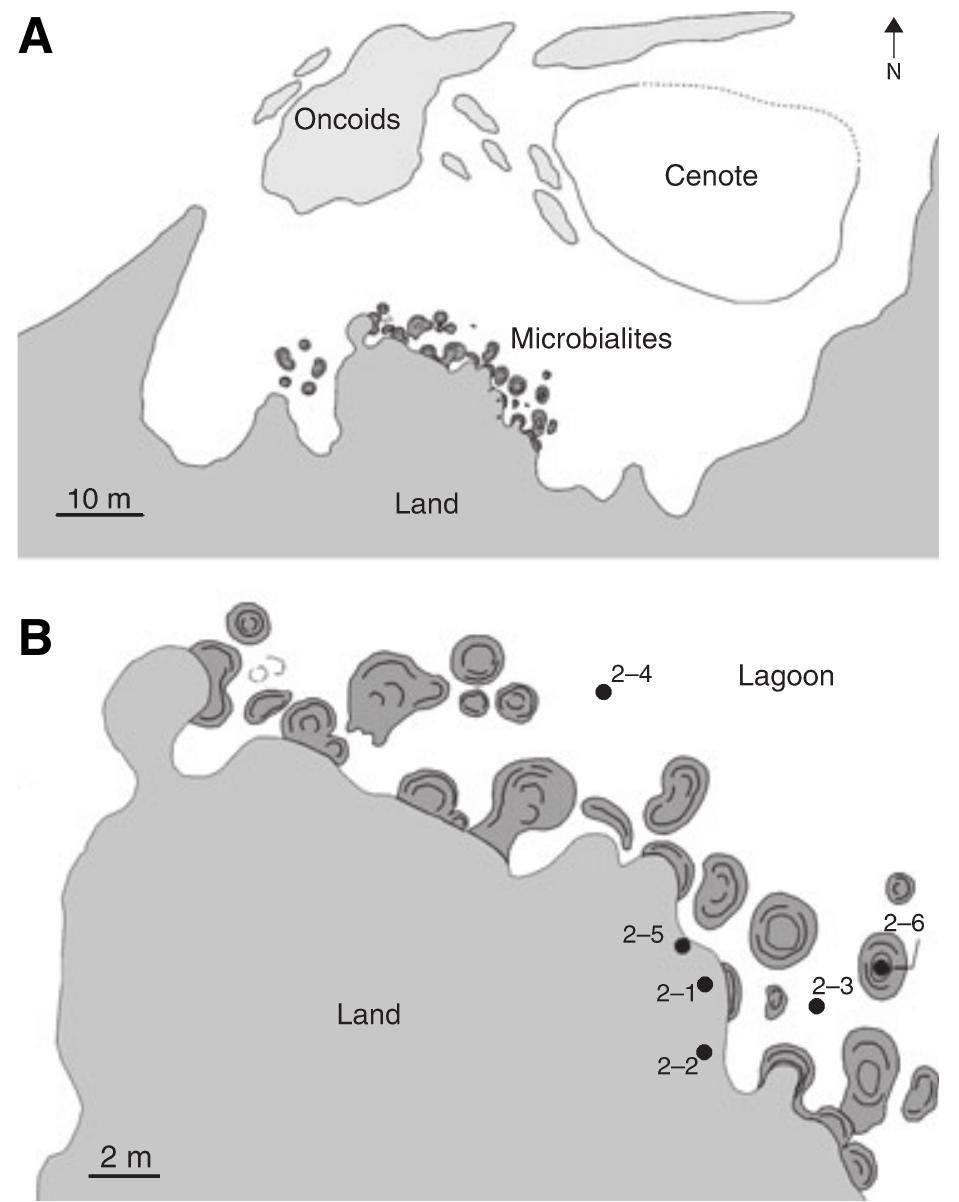 (a) map of location 2 including microbialite heads and