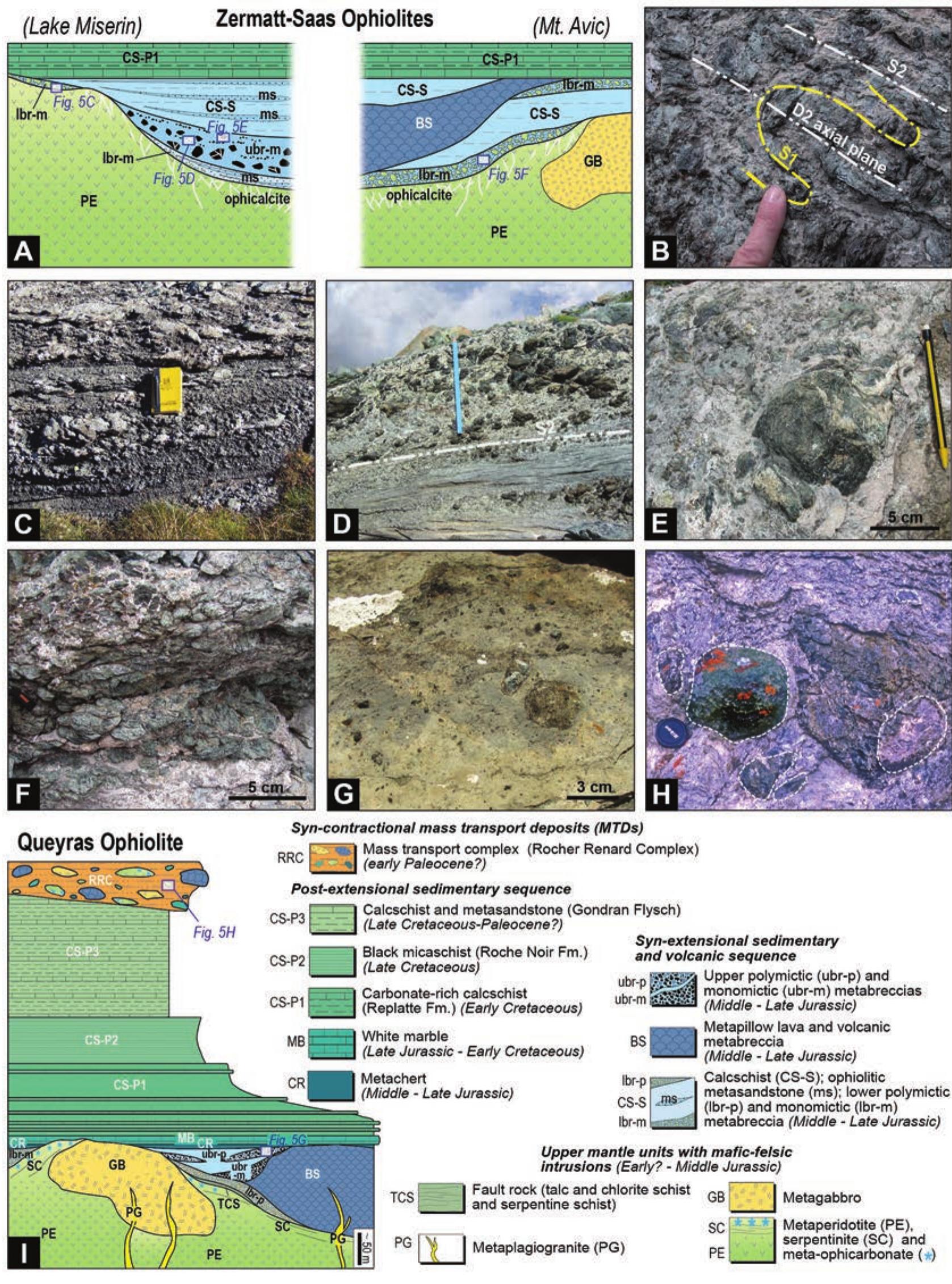 A, representative stratigraphic sections depicting the
