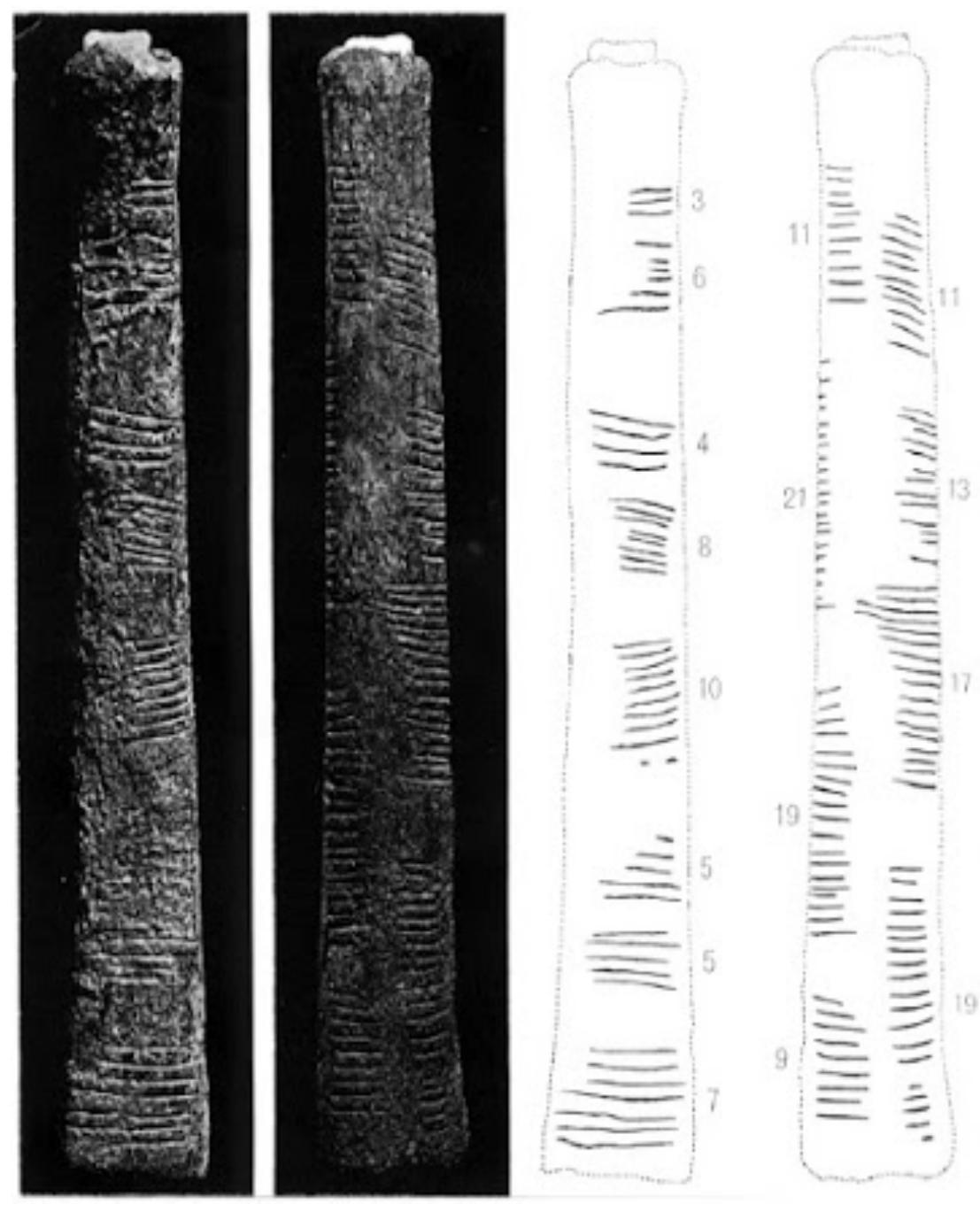 B. de heinzelin's detailed drawing of the ishango bone