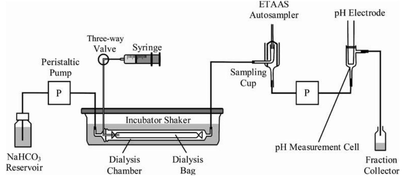4.2.1. diagram of the continuous flow dialysis system