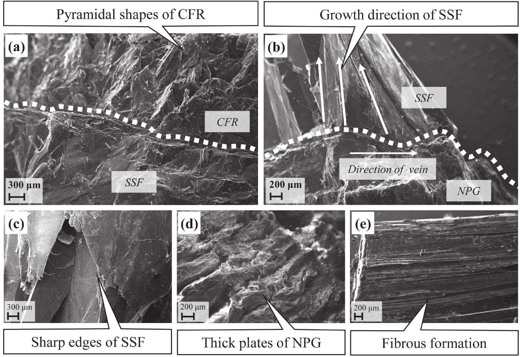 Sem images of the different morphologies in the contact zone