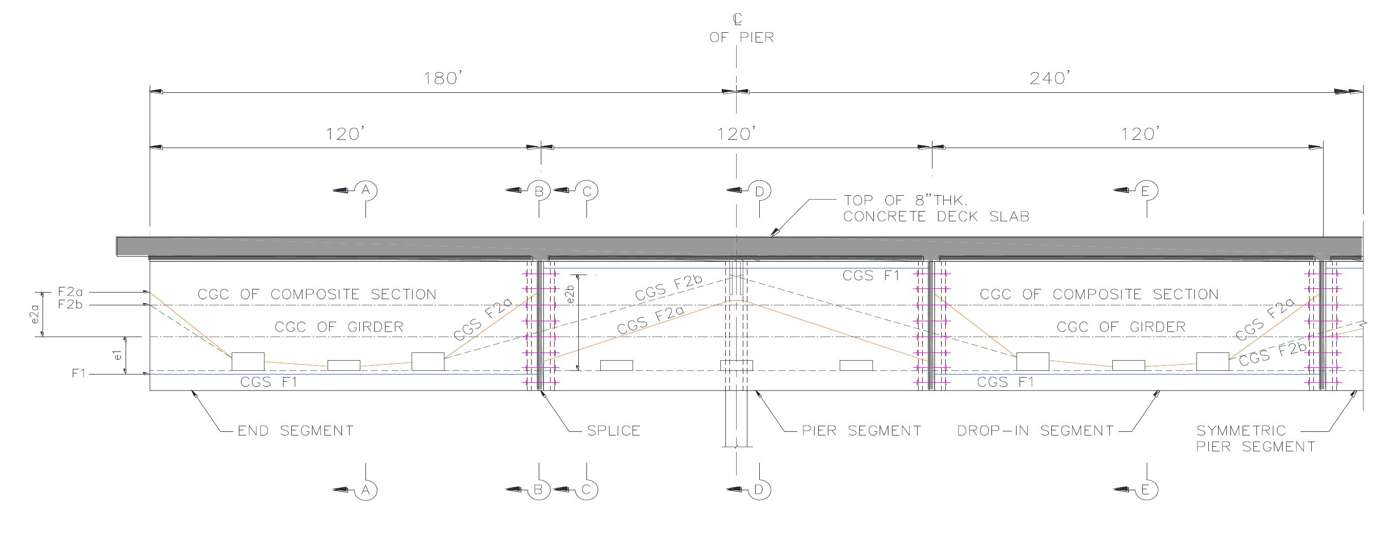 -ongitudinal section showing the tendon profile for
