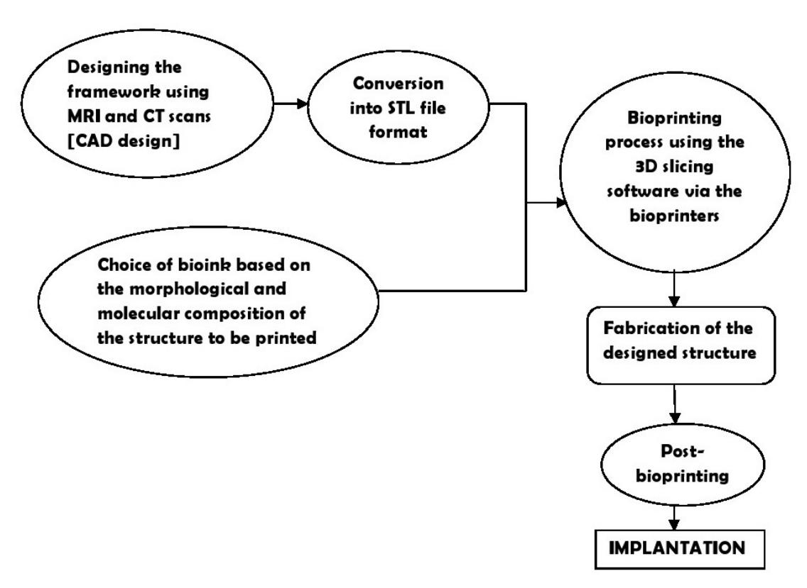 The flowchart depicts the individual processes that are