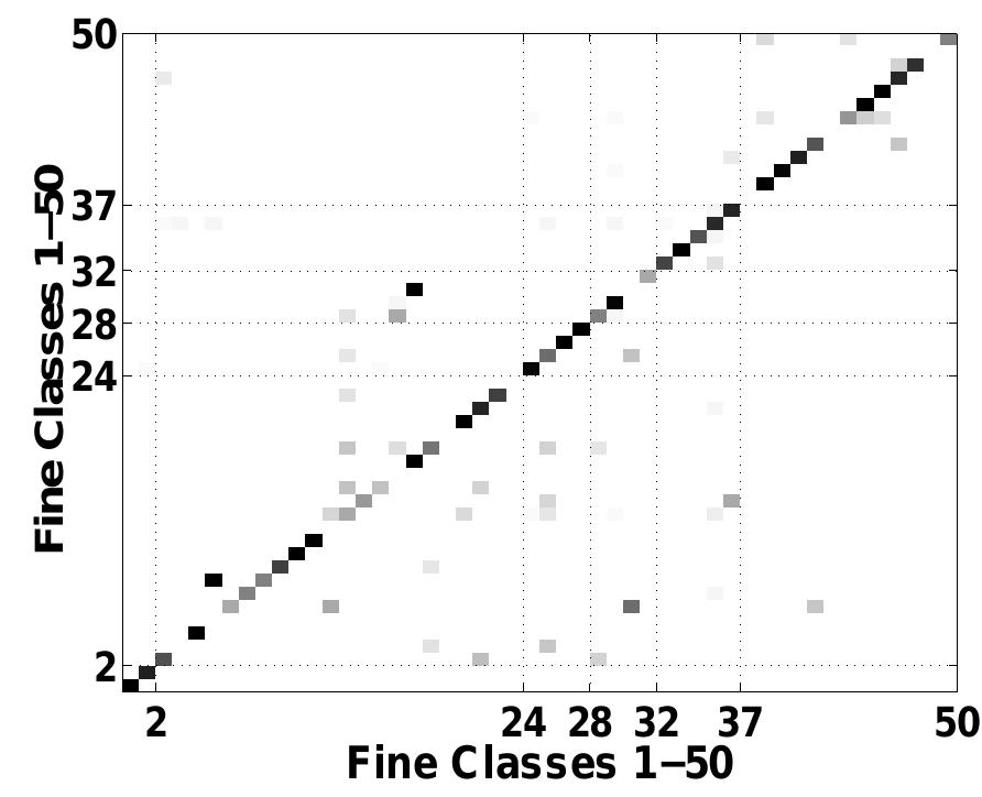 The gray-scale map of the matrix d[n,n]. the gray scale of