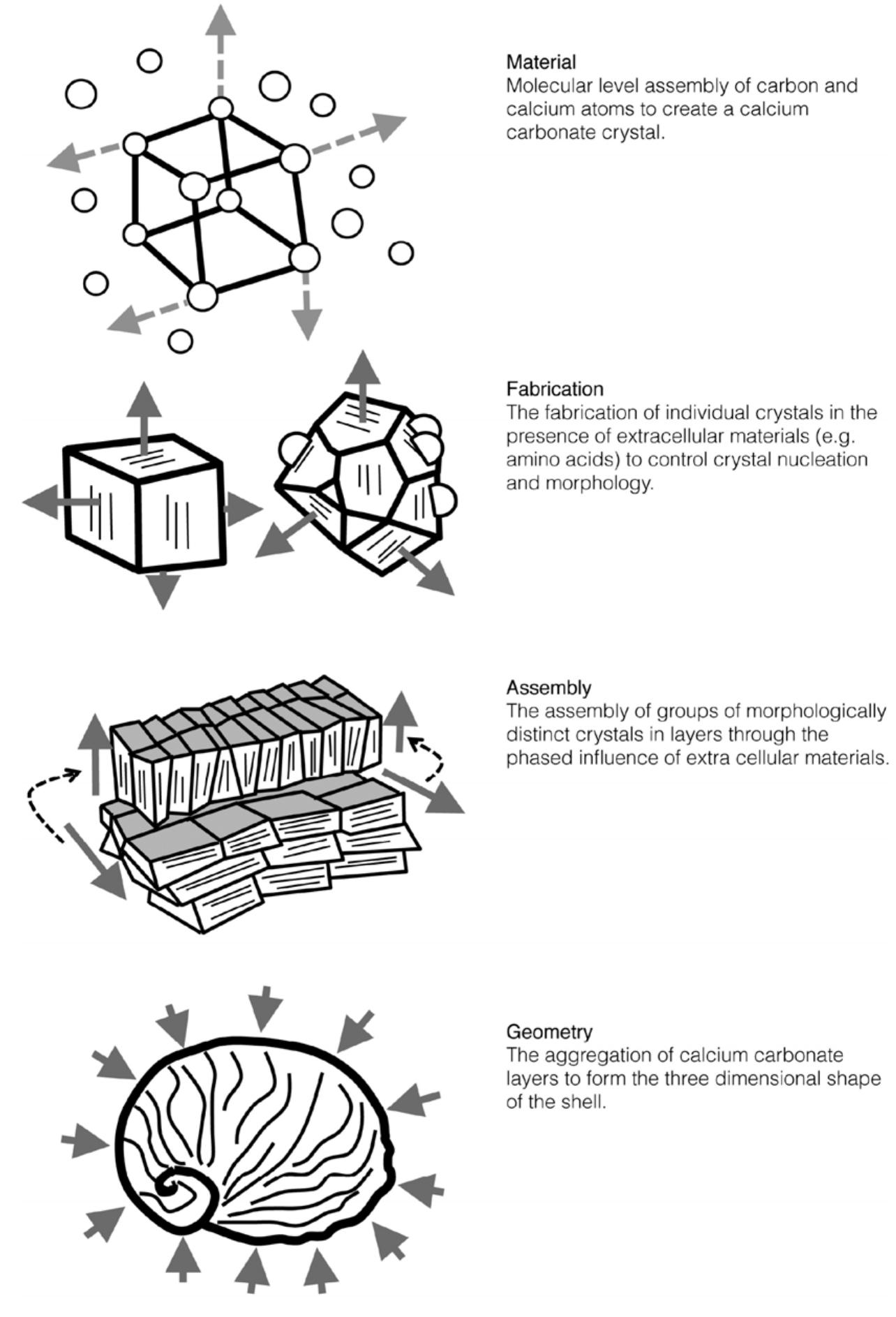 Diagrams to illustrate the processes of material