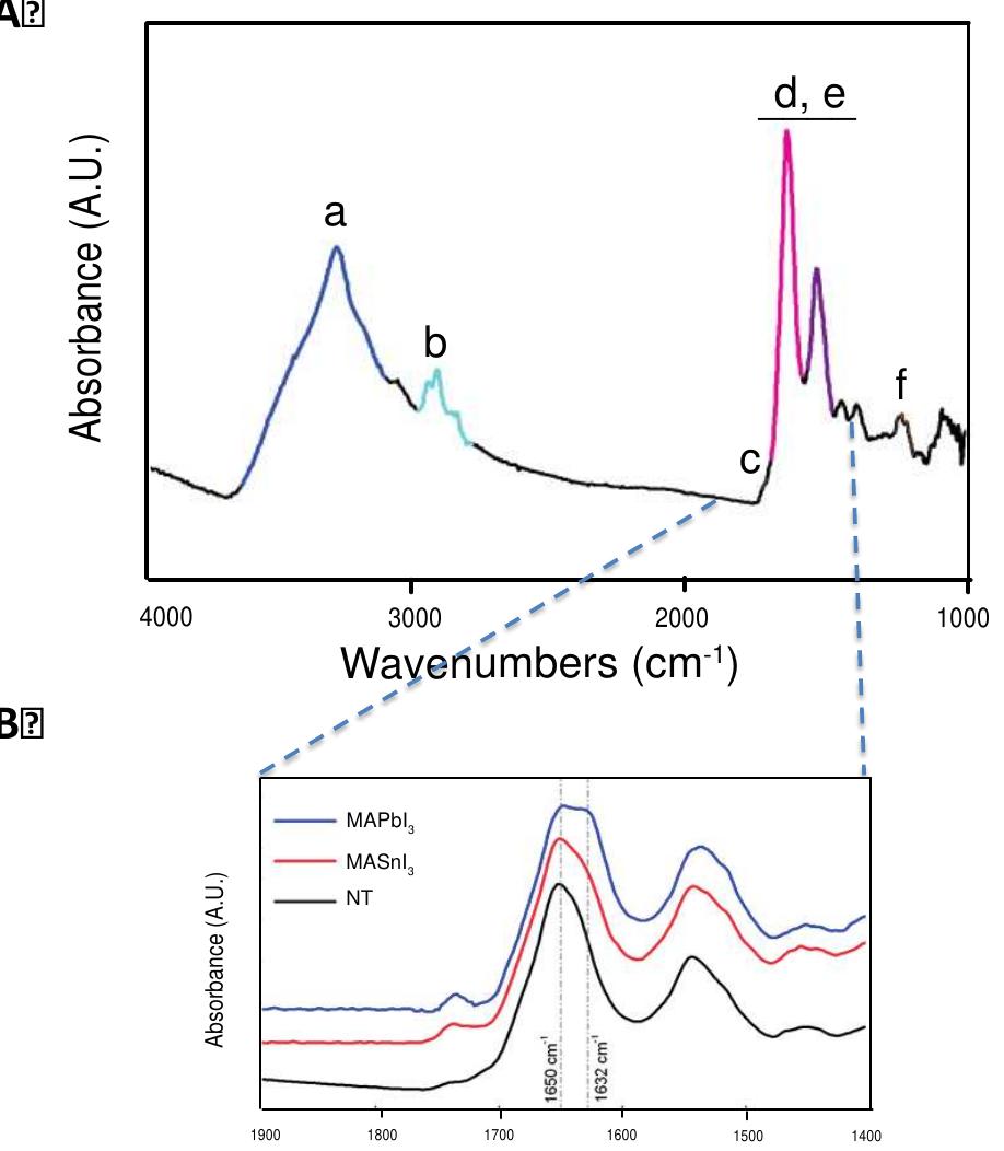 Ir spectra of cells. (a) ir spectrum of a sh-sy5y cell (b)