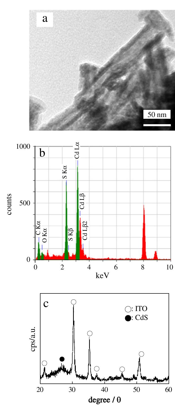 Cds nt (a) tem image, (b) edx and (c) xrd patterns.