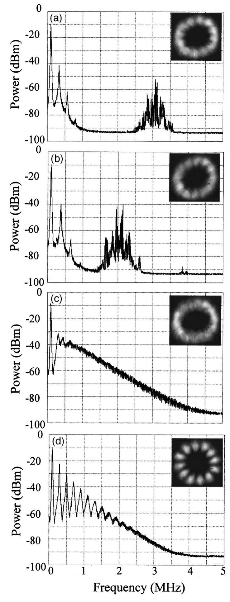 Power spectra of laser emission for tem, mode. spectra
