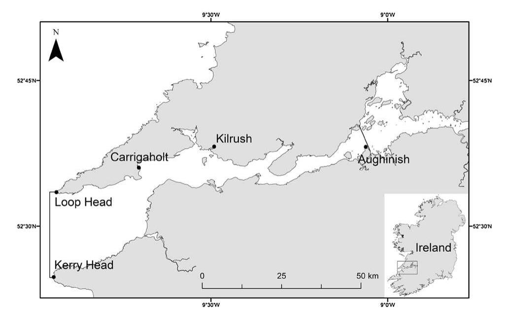 Map of the shannon estuary study site in ireland. the line