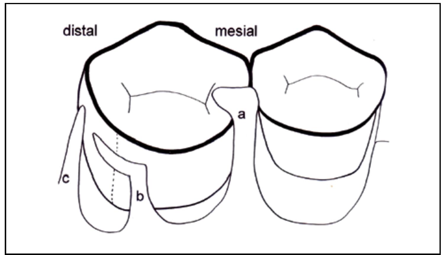 Schematic illustration of the rls-system: the acronym for