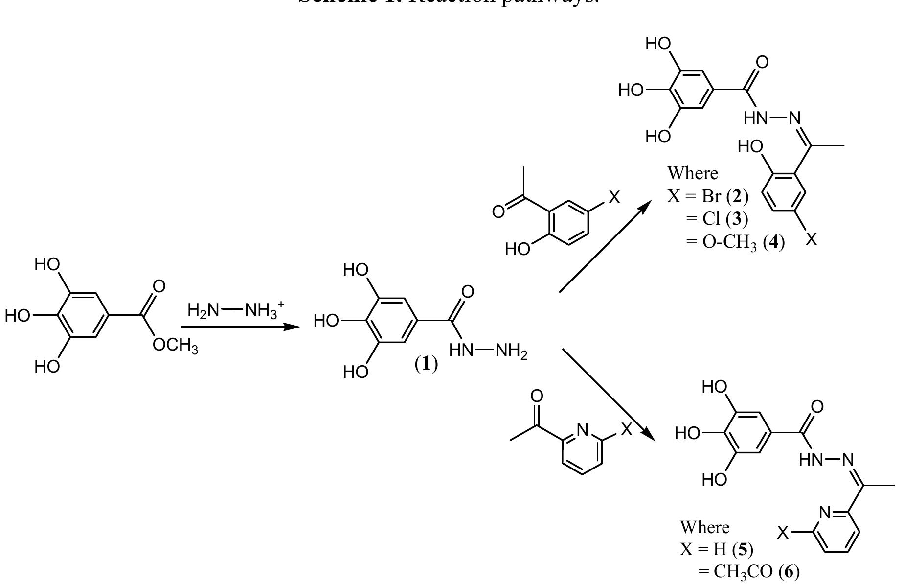 The ir spectra of compounds 2-6 revealed the presence of