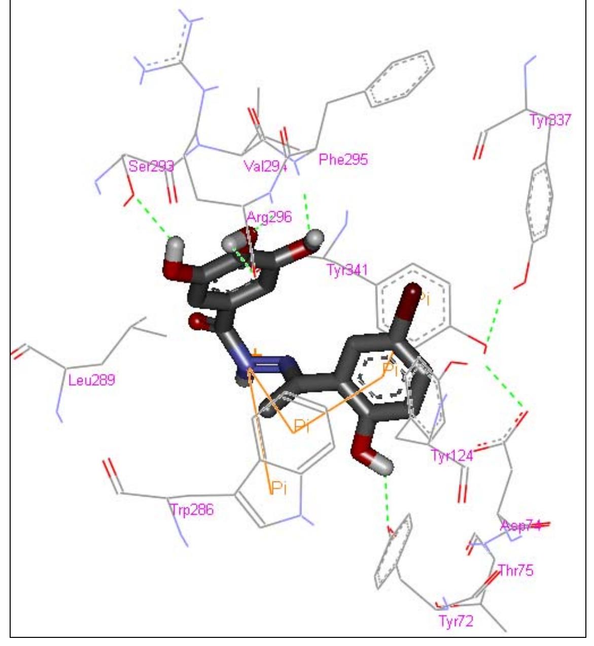 (b) 2d schematic representation of the hydrogen bonding and
