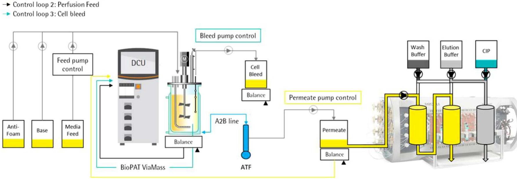 Schematic representation of the integrated usp-dsp approach