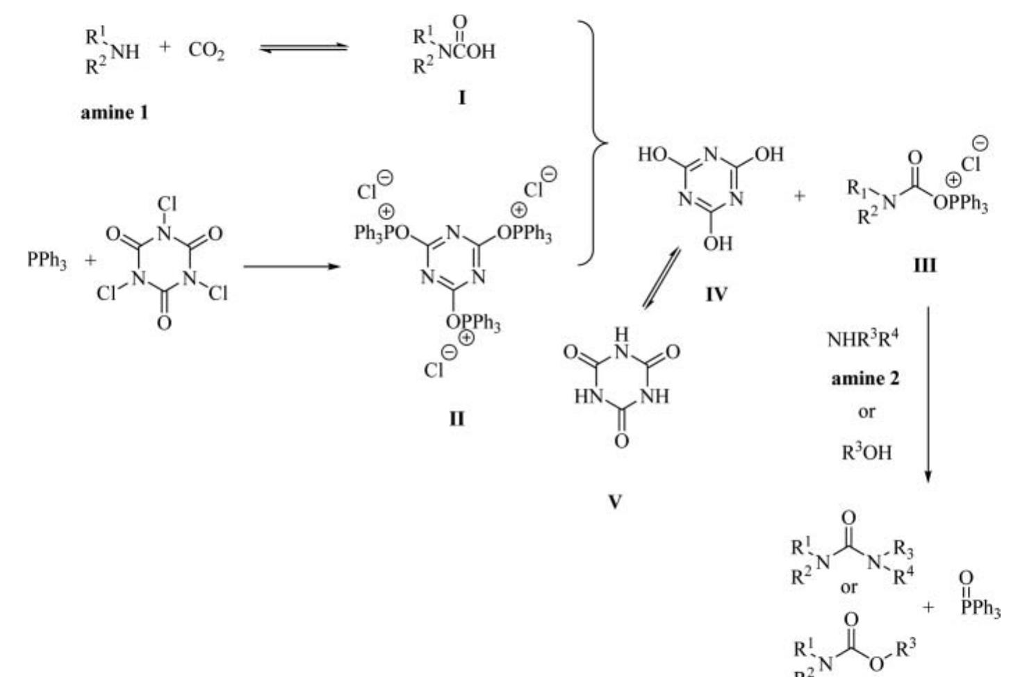 Proposed mechanism of urea and carbamate synthesis.