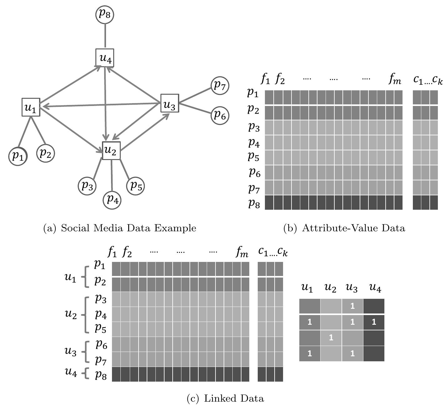 Typical linked social media data and its two representations