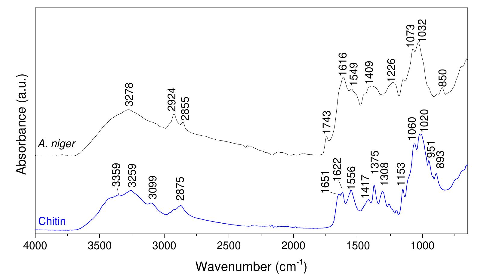 21: infrared spectra of chitin (chitin from shrimp shells,
