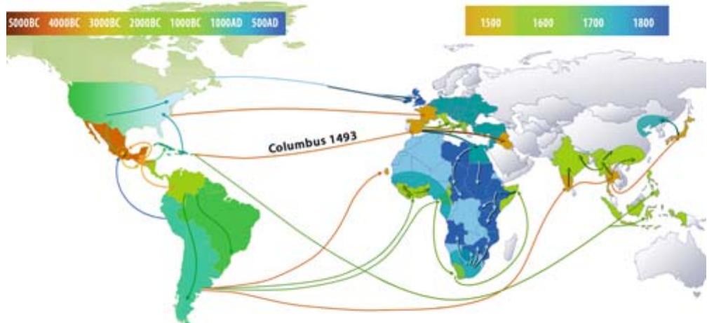 Figure 32 - from Staller, John E. 2010. Maize Cobs and