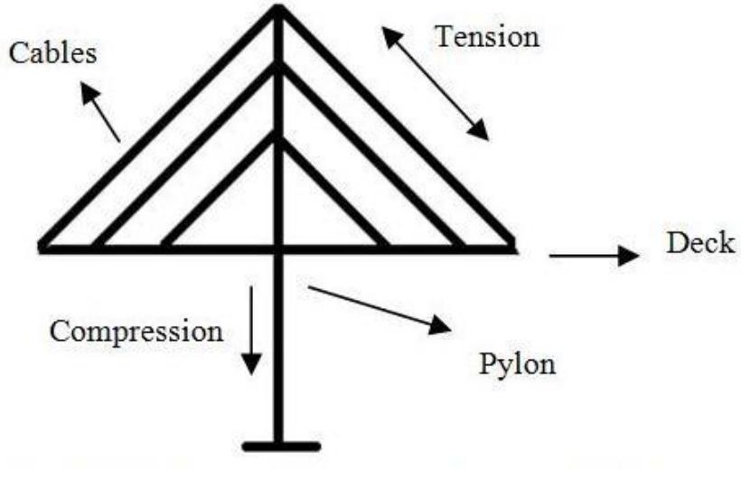An illustration of typical cable stayed bridge one or two