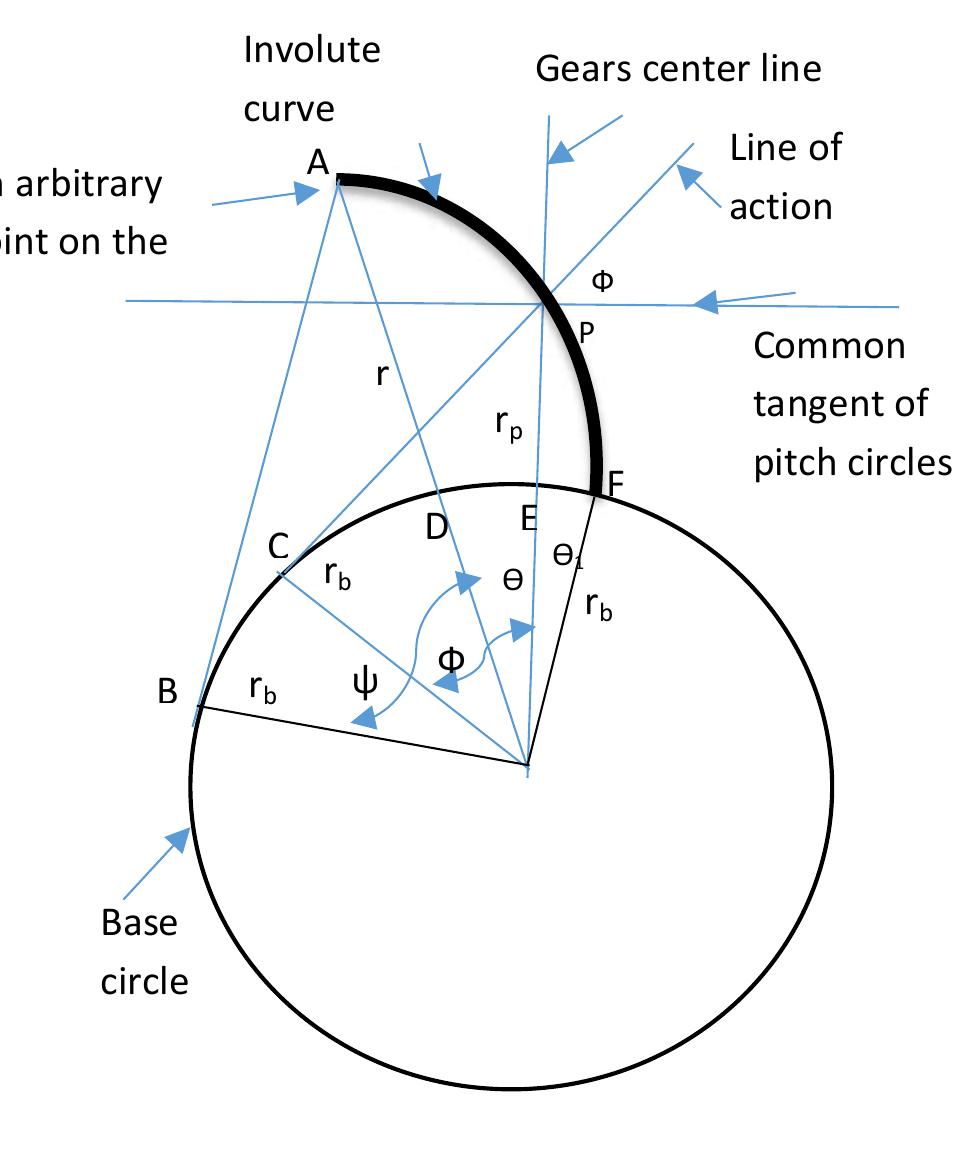 (a): involute profile