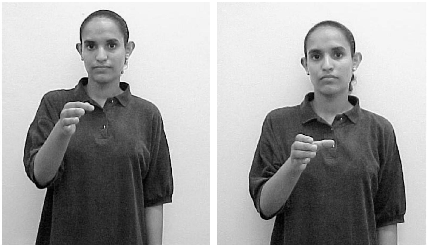 Figure 11 - Sign languages in the Arab world