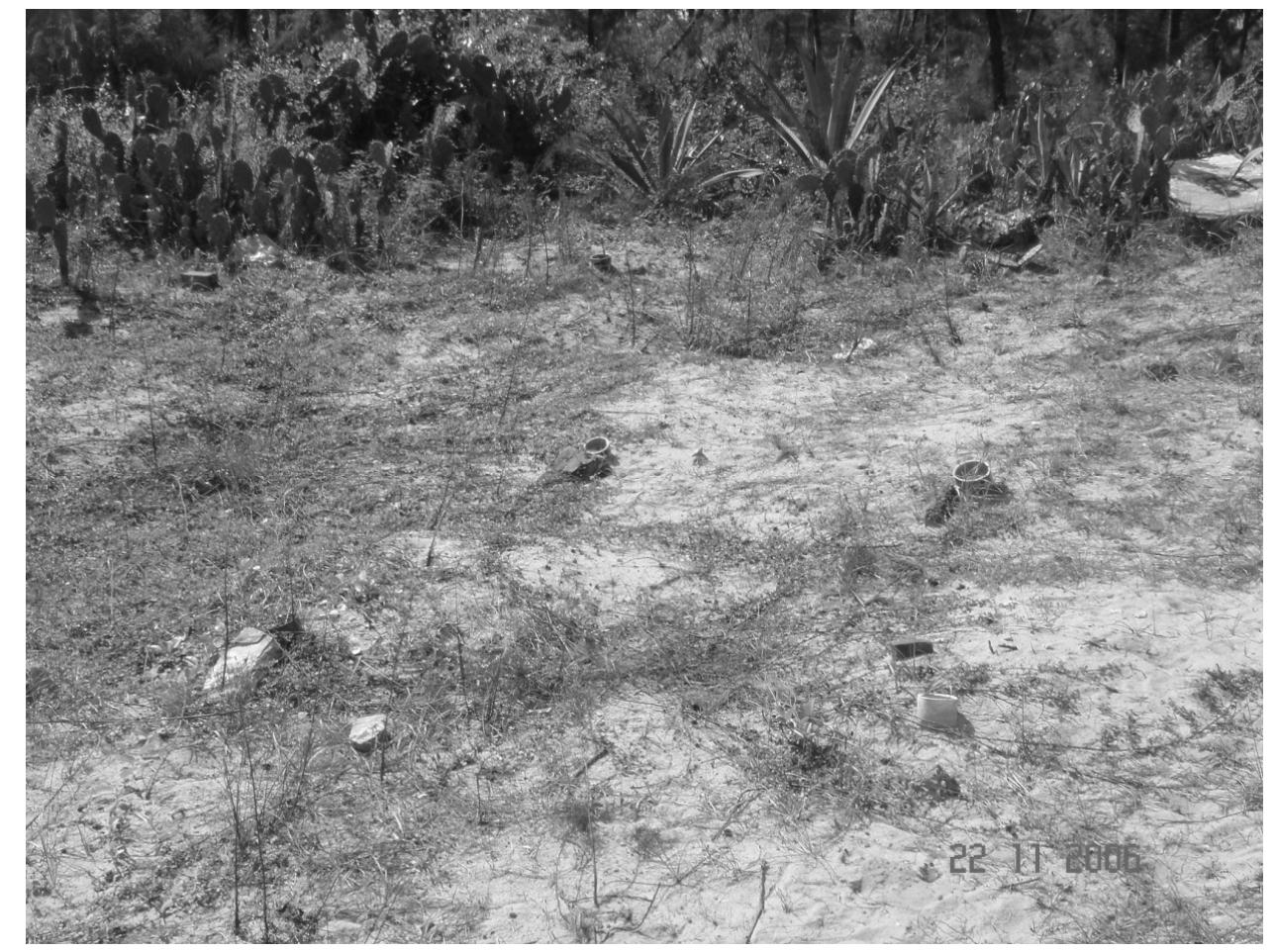 Burial place on temple ground for ong luy. photo: sandra