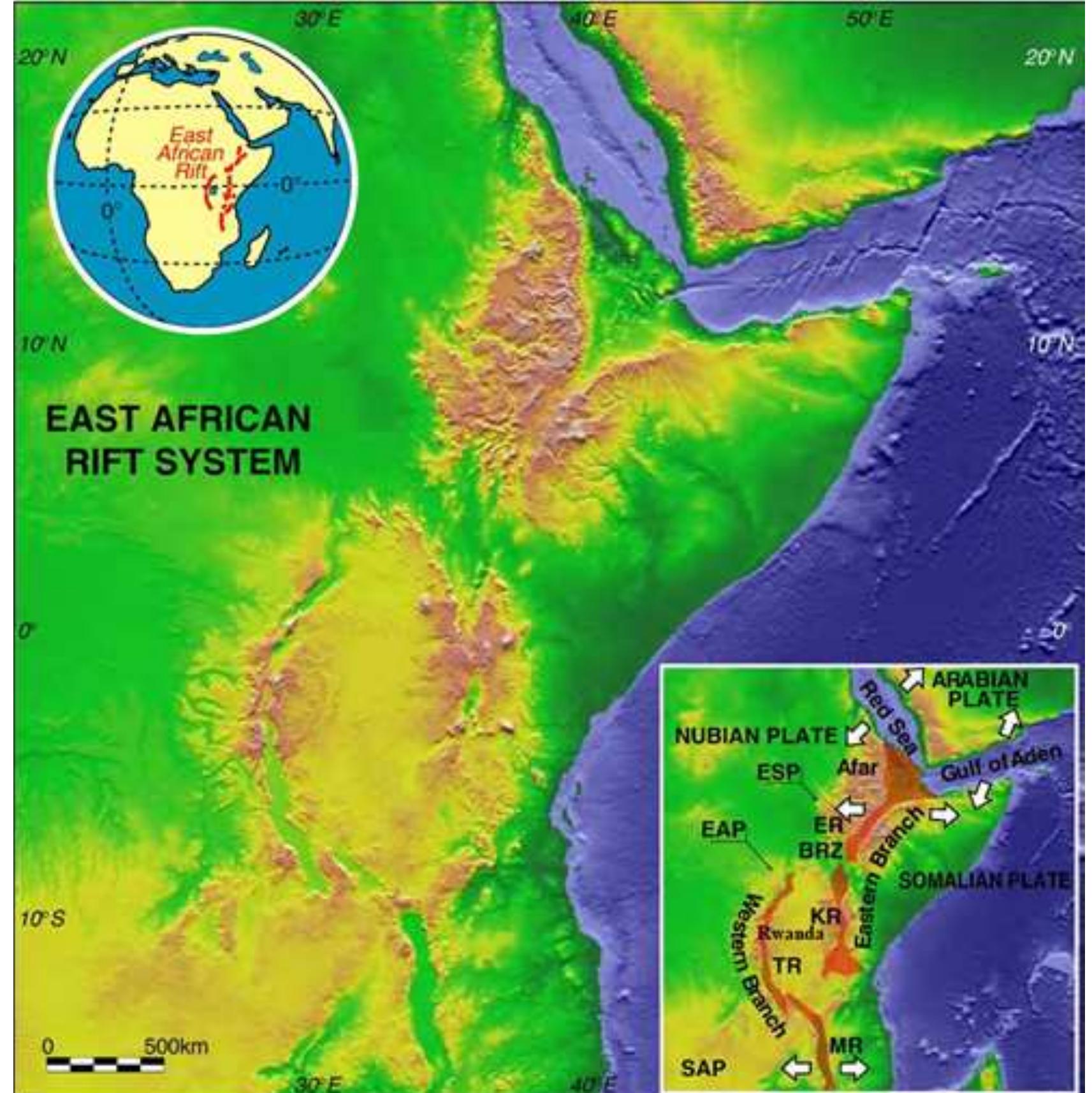 Digital elevation model (from shuttle radar topography