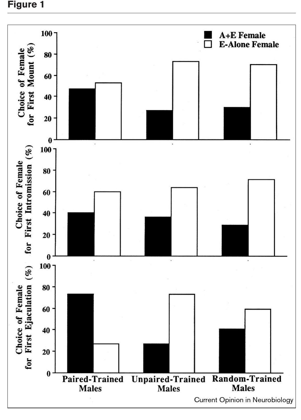 (PDF) Neurobiology of sexual behavior