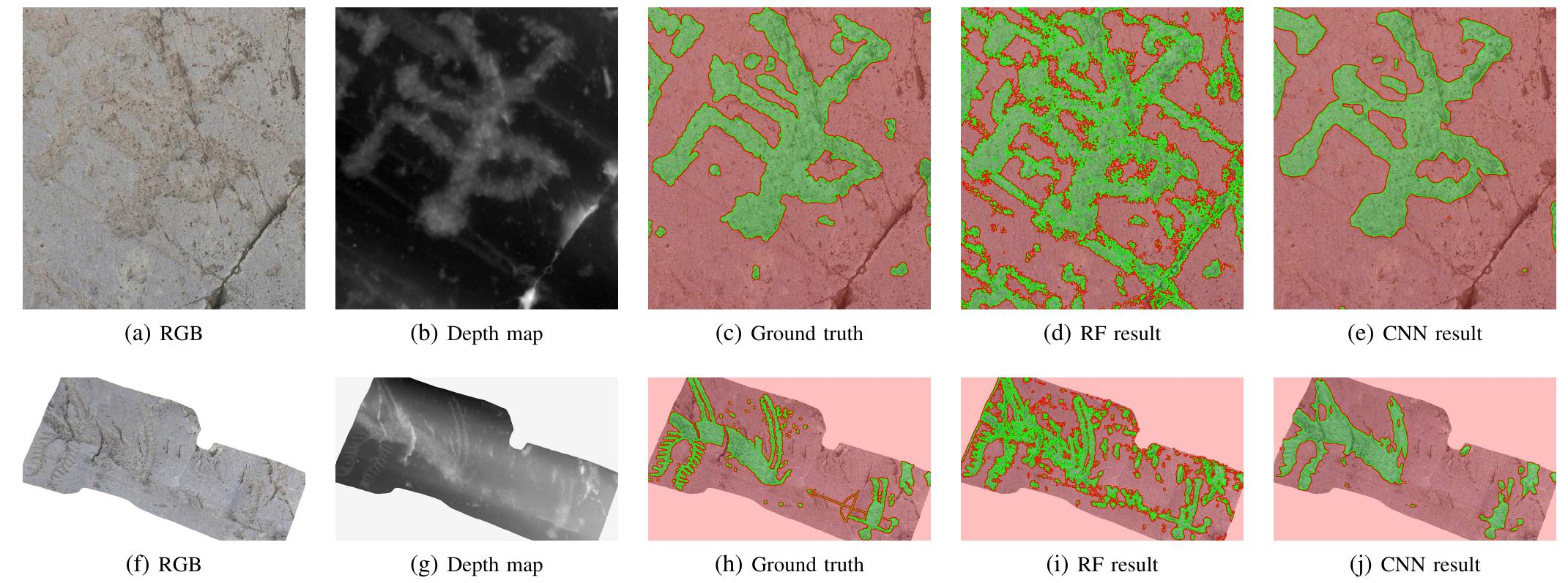 Input images (orthophotos and depth maps), ground truth