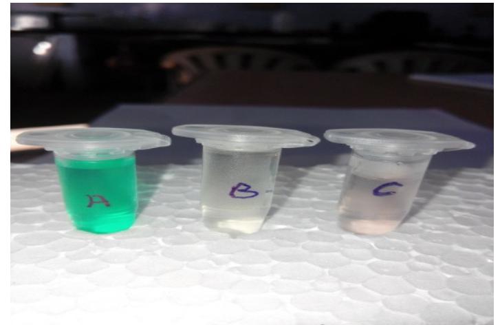 1-2 ml of 5 mg/ml nickel solution was added in a round
