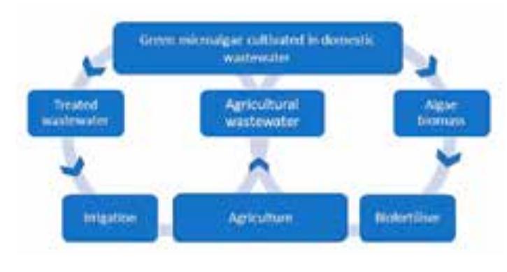 Figure 92 - from THE USE OF PLASTIC WASTE IN ROAD