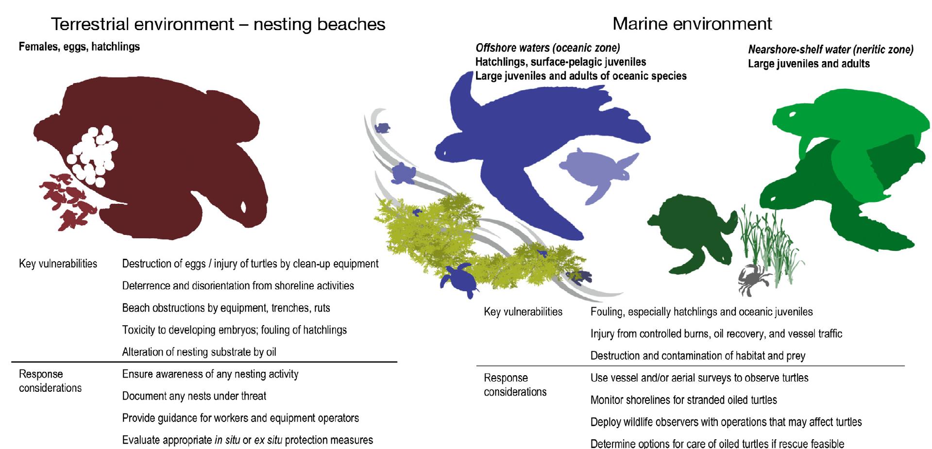 Figure 1 - from Oil spills and sea turtles: documented