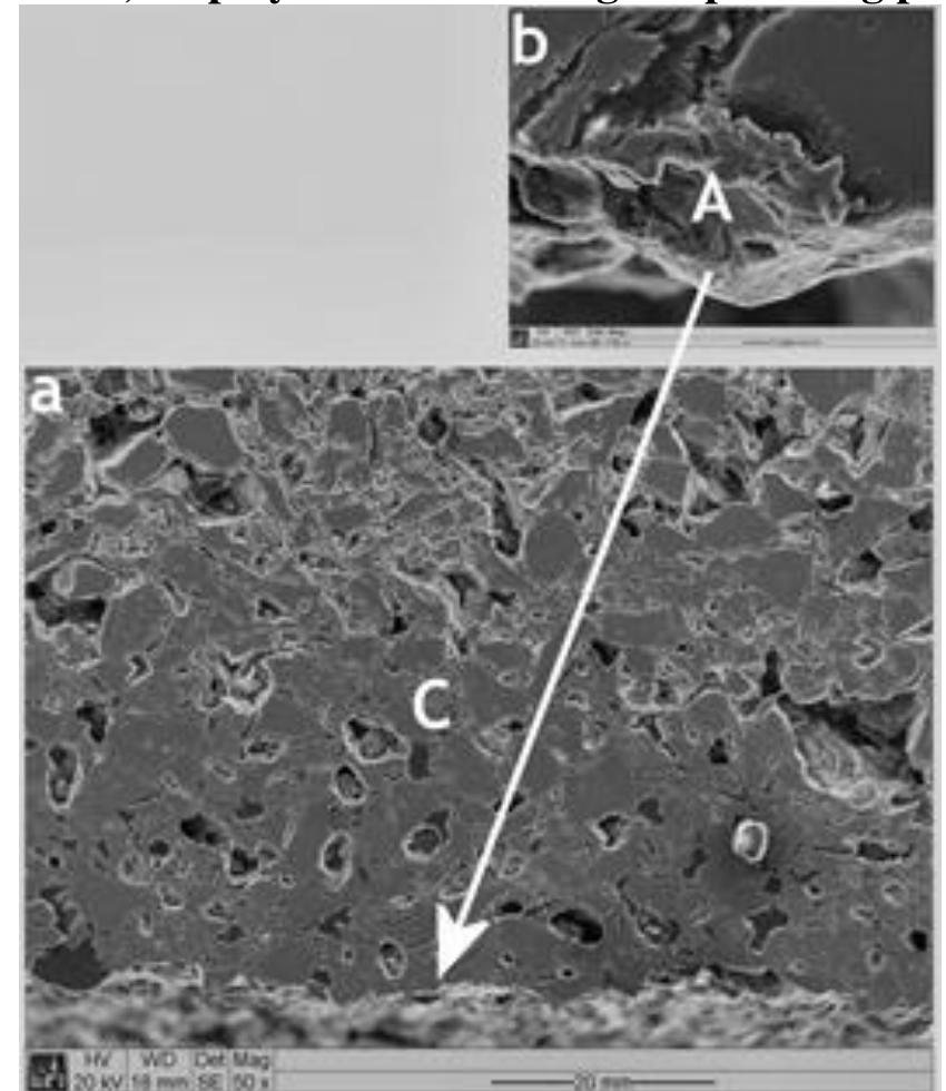 Sem image of the glazed crucible. the dense glazed coating