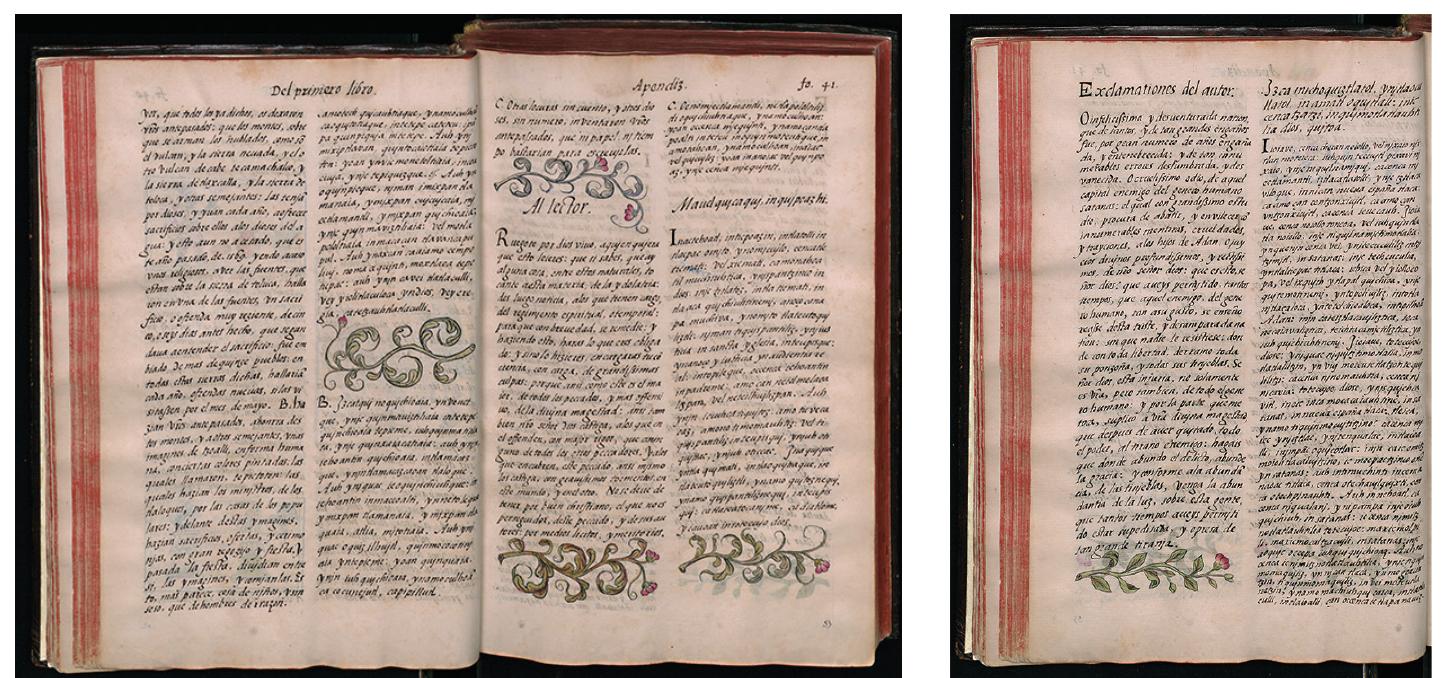 Pages of florentine codex. note the similar flowers on all
