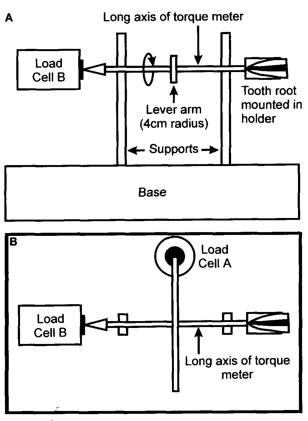 Fic 1. diagram of the torque meter with mounted tooth. (a)