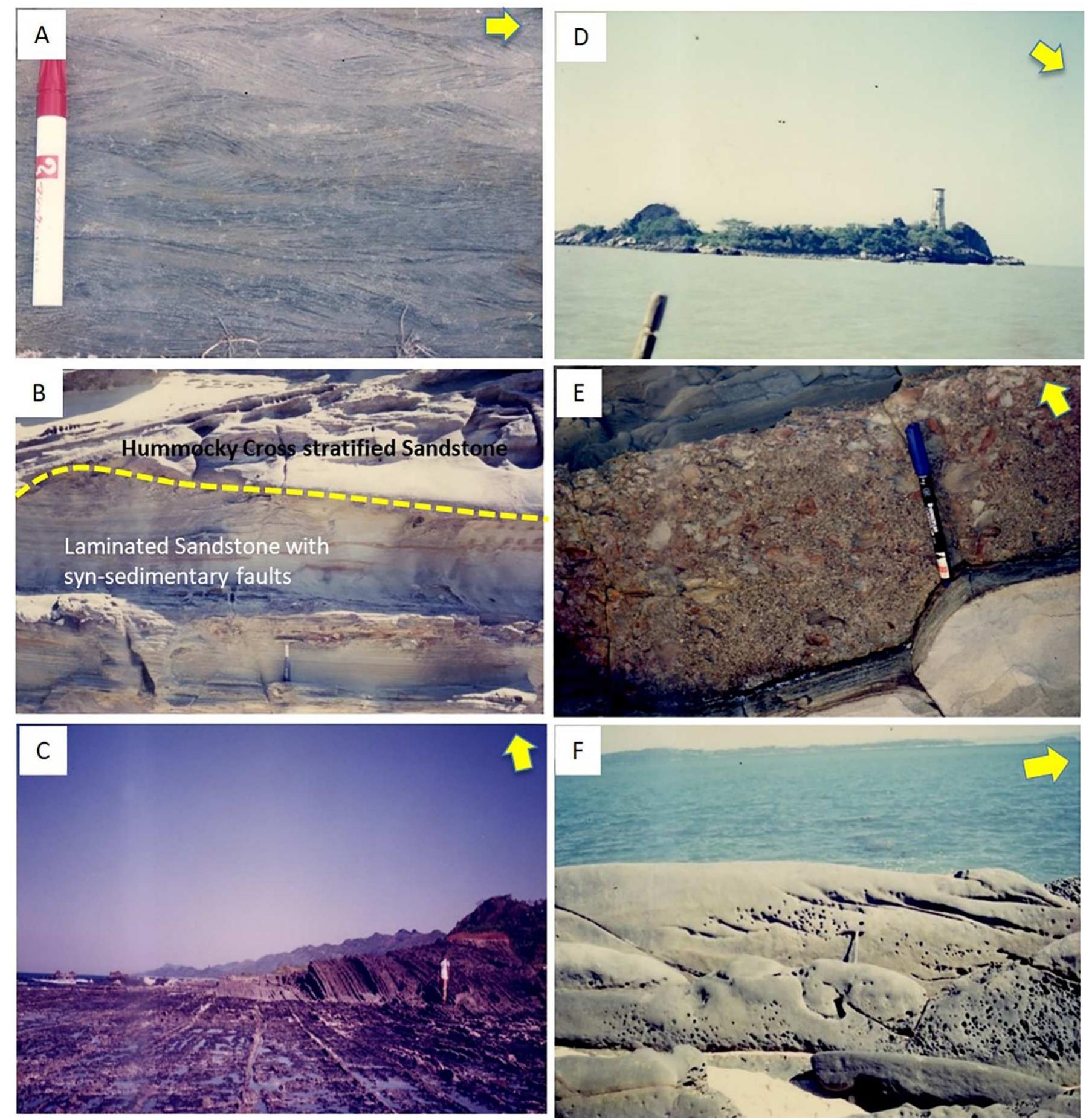 Sedimentary structures and outcrop photos. (a)